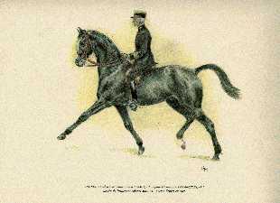 Commandant Xavier Lesage (1885-1968) | Amis du Cadre noir